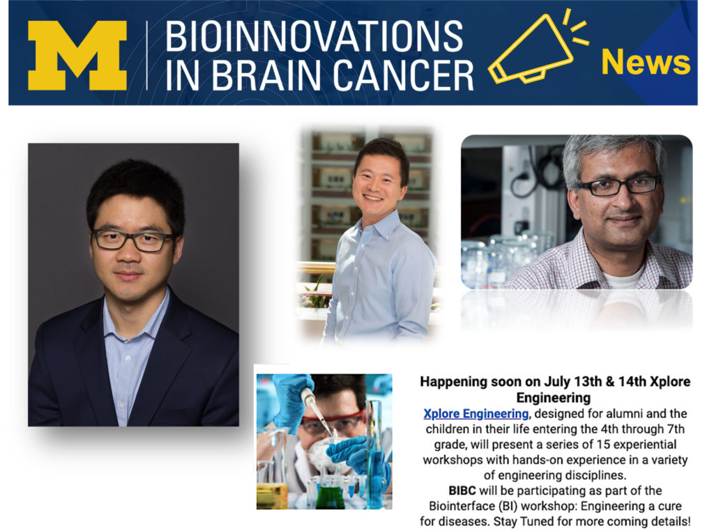 BIBC Community Update – June 2023