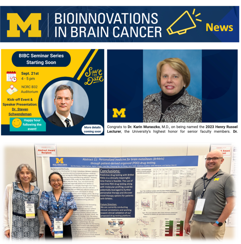 BIBC Community Update – August 2023