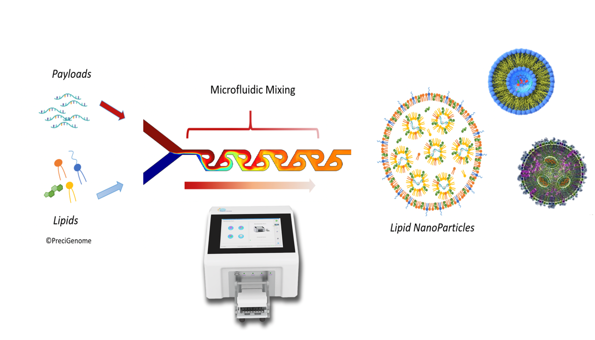 Formulation & Translation Core